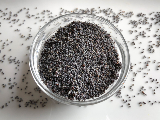 Les graines de pavot - Tout sur le pavot (Papaver somniferum)