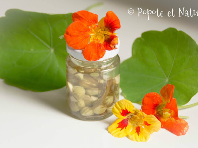Câpres de capucines - Recette par Popote et Nature