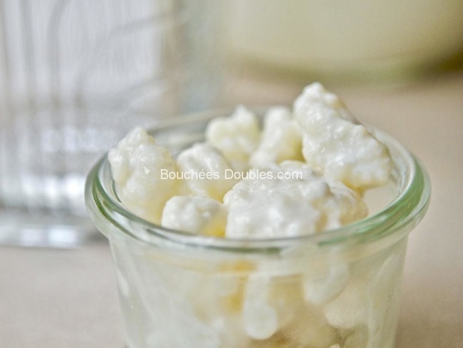 Kéfir de lait : méthodes, recettes, astuces, culture et conservation ...