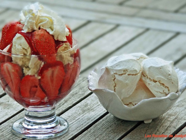 Vacherin Express - Recette par lesrecettesdejosephine.com