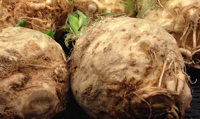 Recettes de rave et de légumes