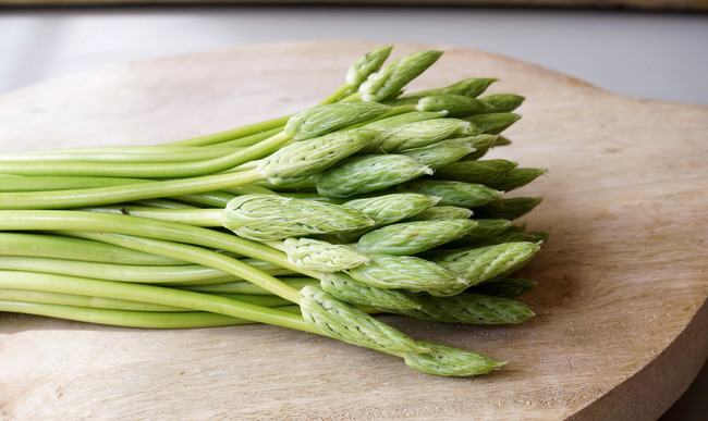 Asperges sauvages Asparagus Acutifolius : des recettes pour les découvrir