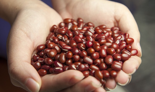 Recettes de haricot azuki : des idées de recettes faciles et originales