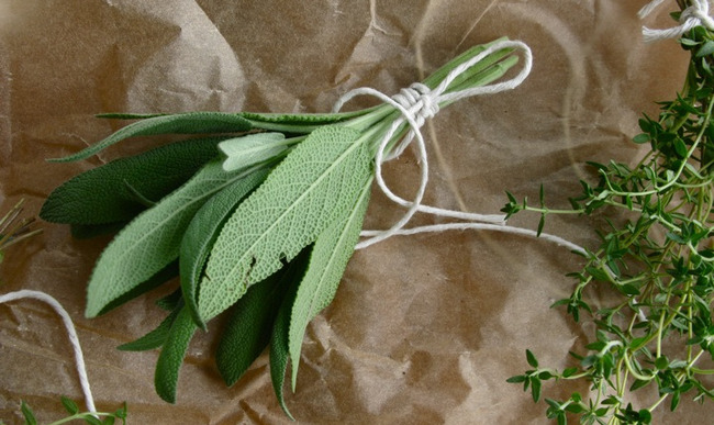 Découvrez comment utiliser la sauge en cuisine avec nos recettes pour ...