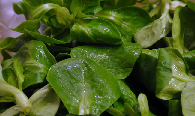 Recettes de mâche et de pamplemousse