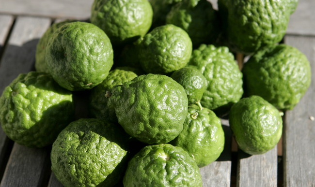 Recettes de combava : des idées de recettes faciles et originales