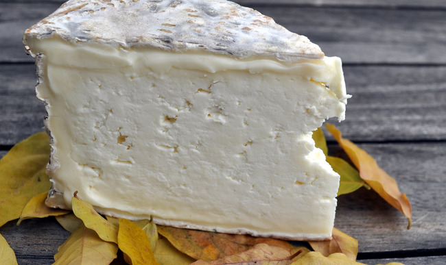 Recettes de tomme : des idées de recettes faciles et originales
