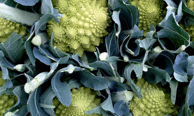 Cuisinez le chou romanesco en salades ou veloutés et faites le plein de ...
