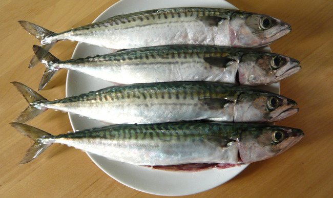 Recettes de maquereau et d'amuse-bouches