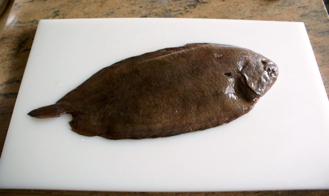 Découvrez nos recettes pour sublimer la sole, ce poisson d'une grande ...