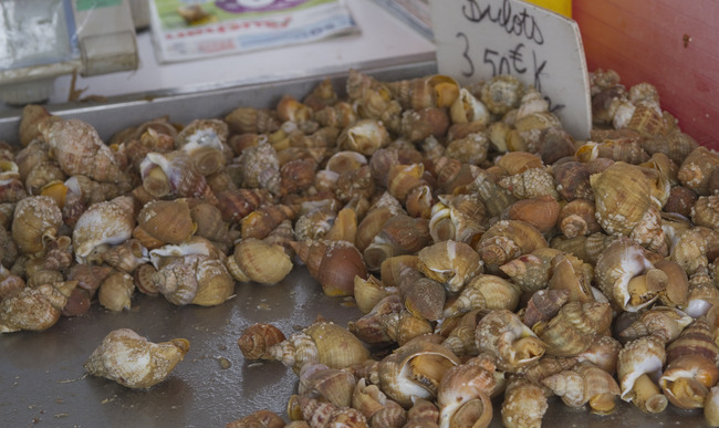 Recettes de bulots : des idées de recettes faciles et originales